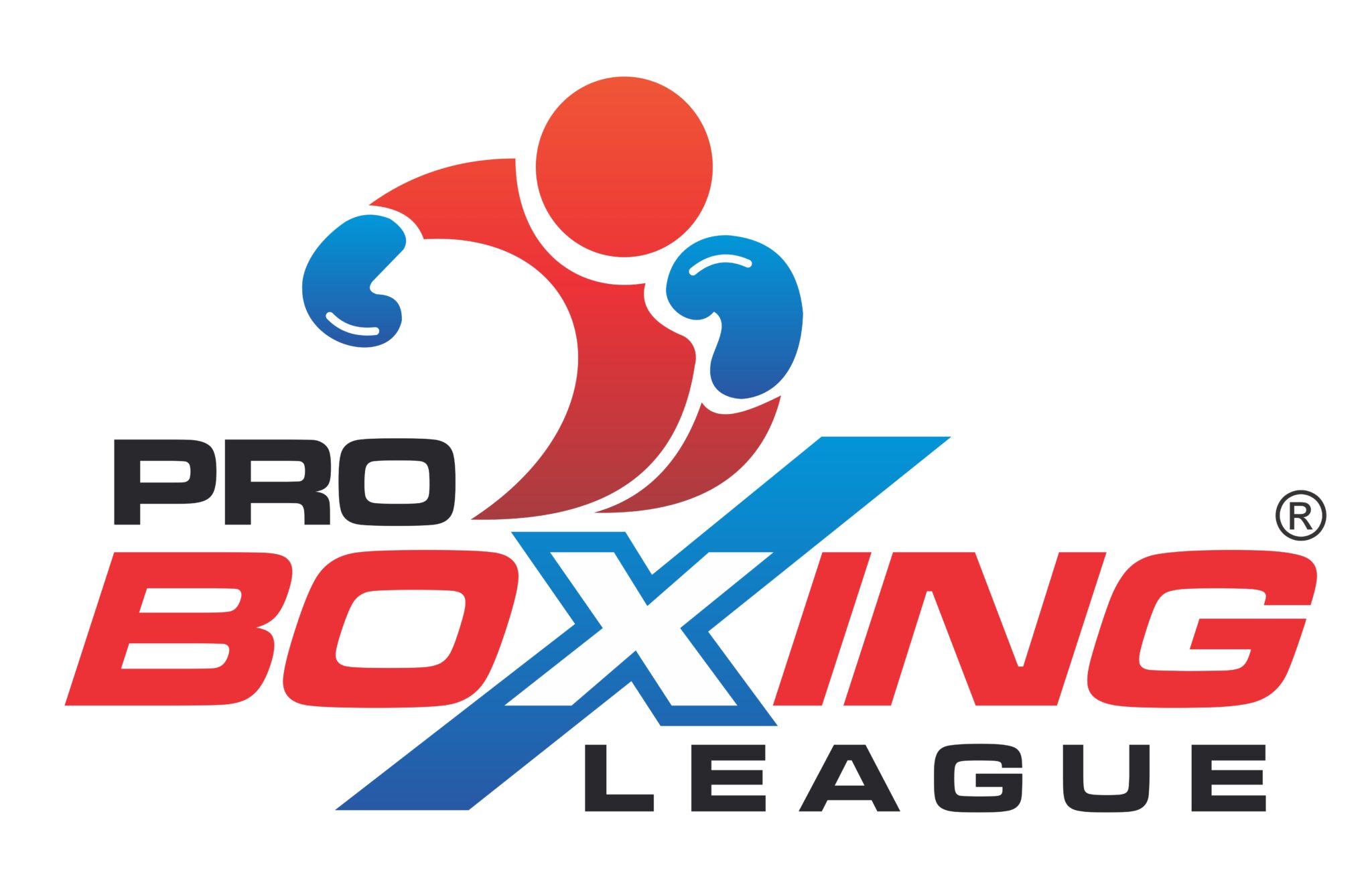 Indian Pro Boxing League (IPBL)